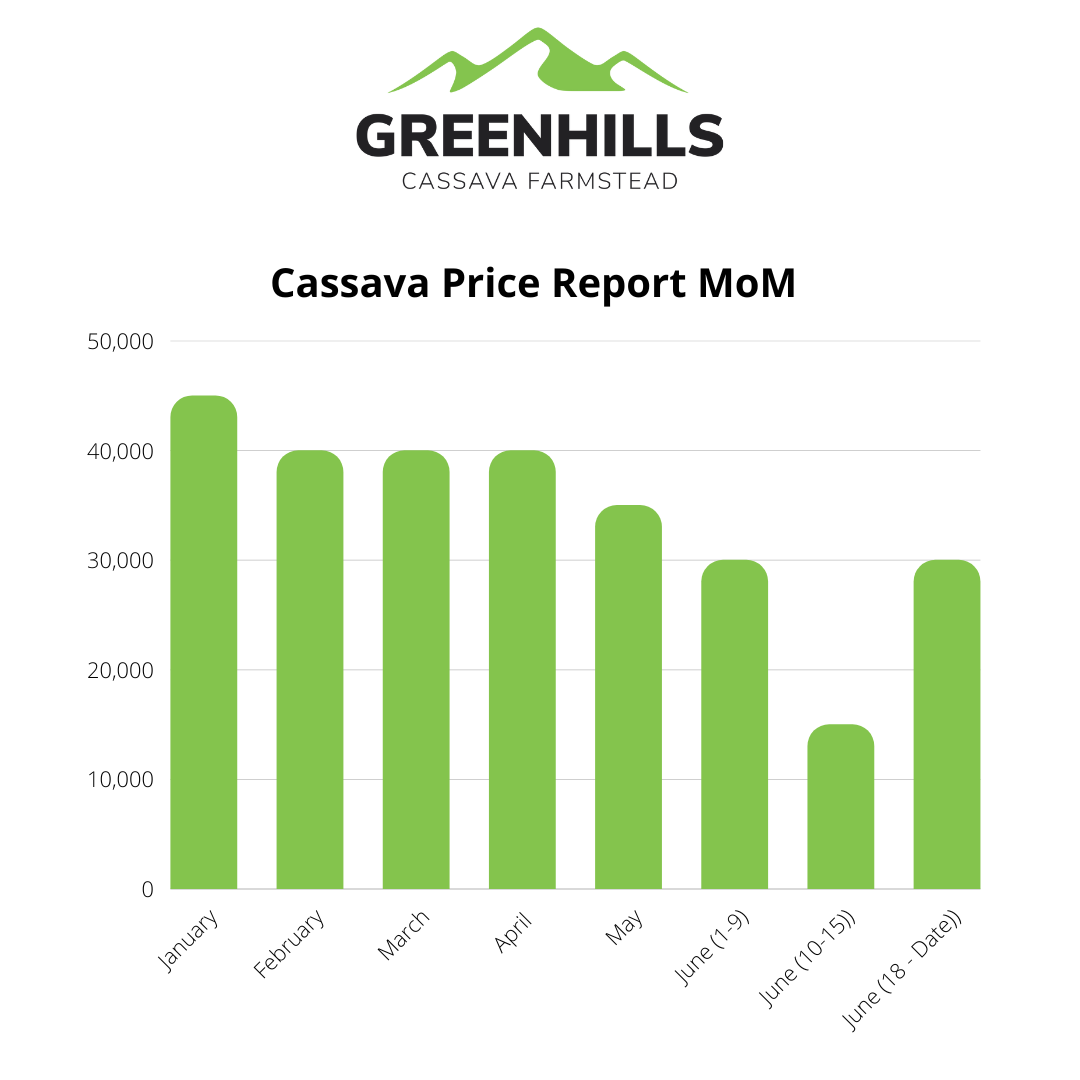 Why Cassava Tuber Prices Have Been Declining In 2022 | Greenhills Farm
